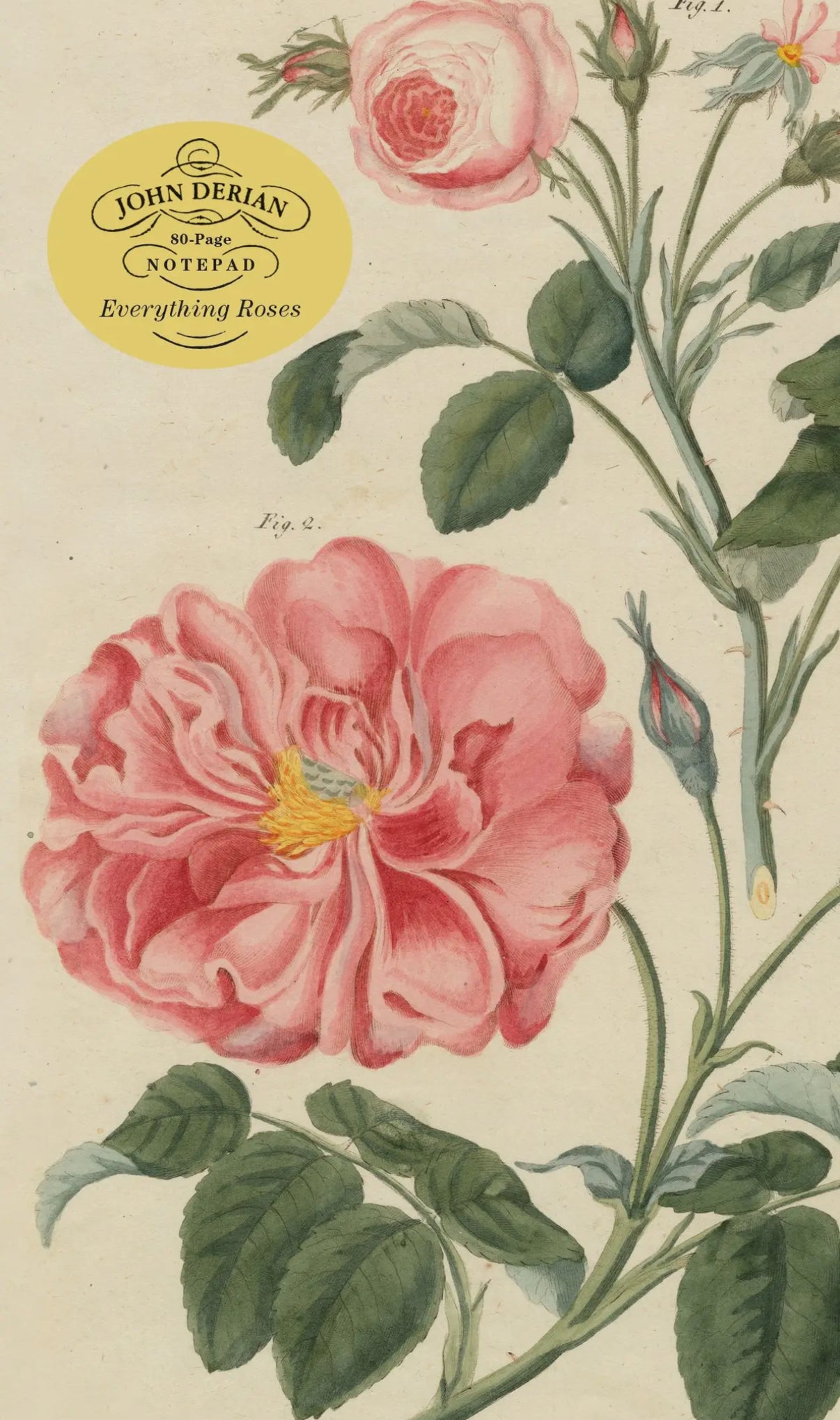 John Derian Paper Goods: Everything Roses Notepad – Tyler + Tate